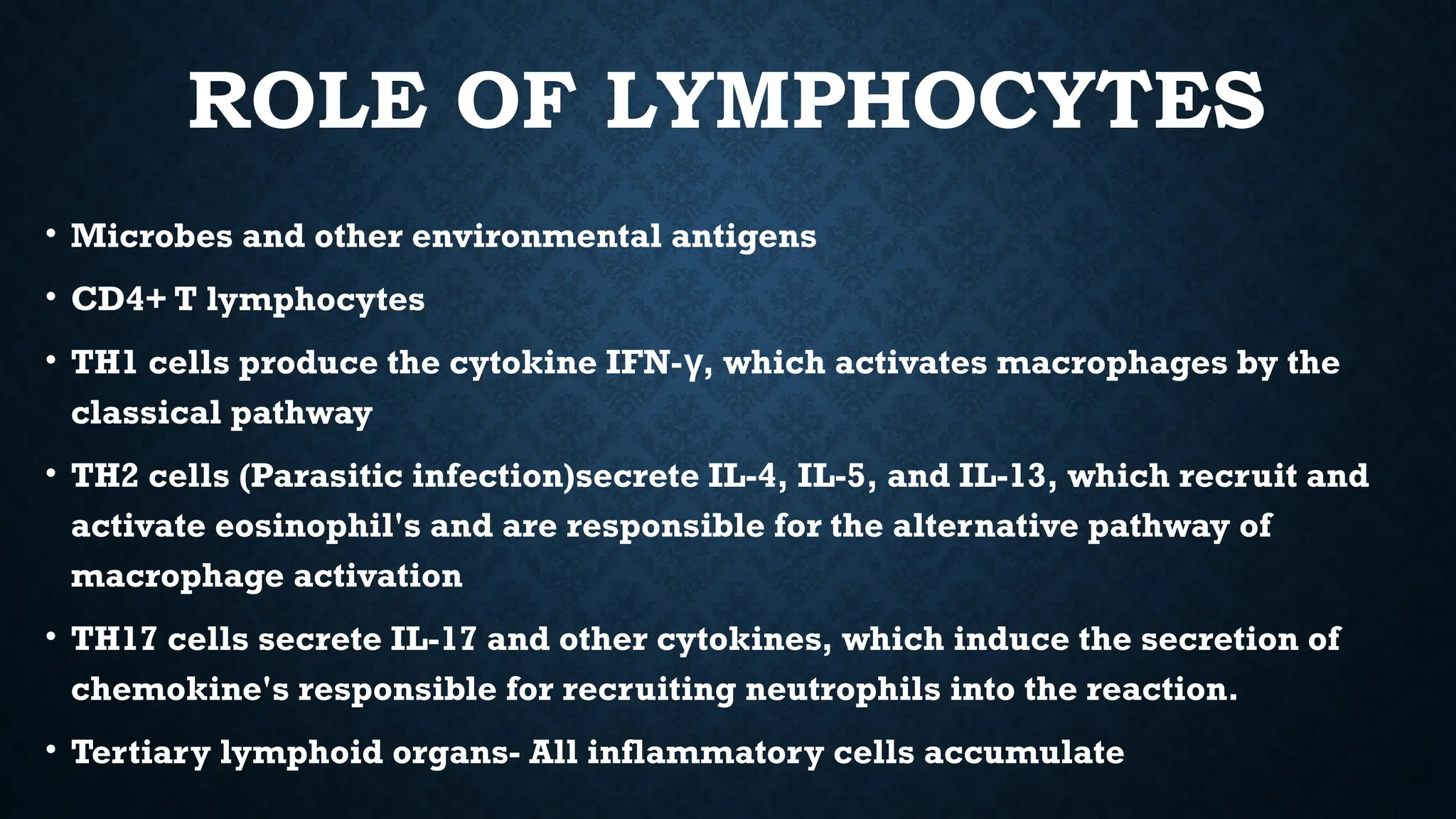 Lymphocytes And Chronic Inflammation Pptx