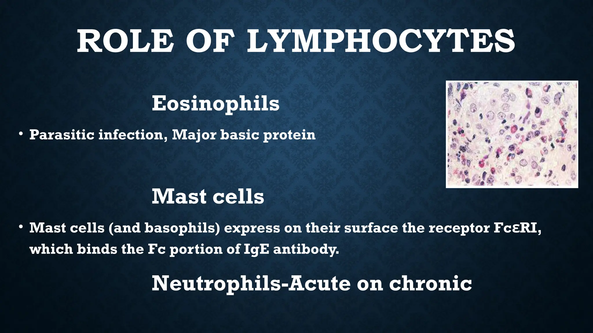 Lymphocytes and Chronic Inflammation.pptx