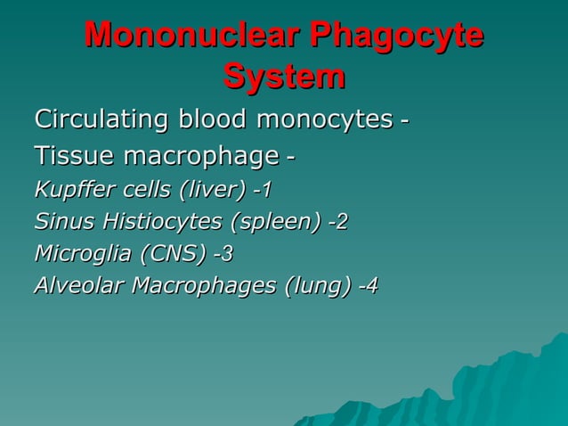 Chronic_inflammation pathology presentation .ppt