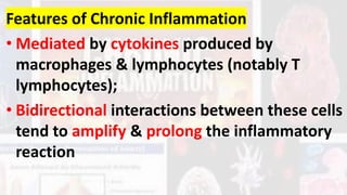 Chronic Inflammation and tissue Repair for pharmacy | PDF