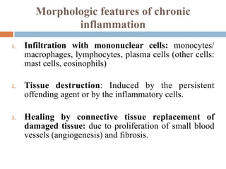 Chronic inflammation BSc Nursing.pdf bsc | PDF