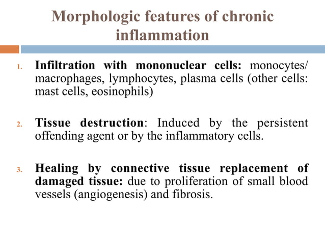 Chronic inflammation BSc Nursing.pdf bsc | PPT