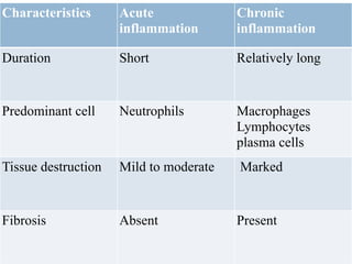 Chronic inflammation BSc Nursing.pdf bsc | PPT