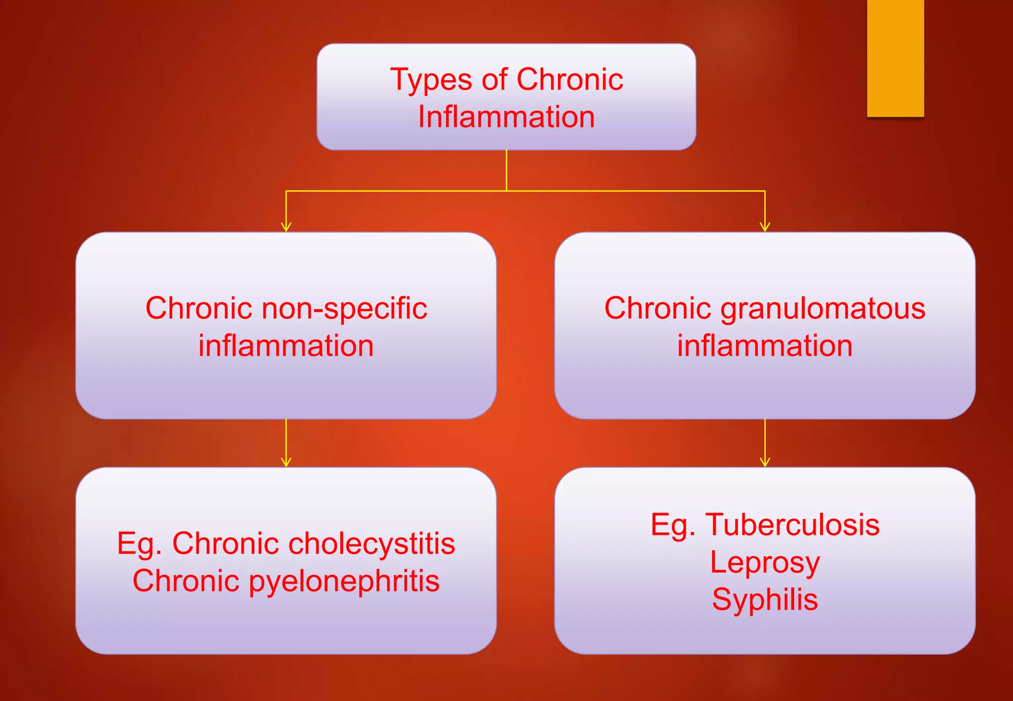 Chronic inflammation | PPTX
