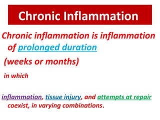Chronic inflammation | PPT