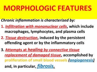 Chronic inflammation | PPT