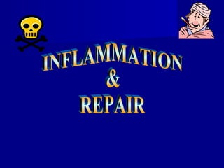 Chronic inflammation & repair | PPT