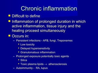 Chronic inflammation & repair | PPT