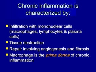 Chronic inflammation & repair | PPT