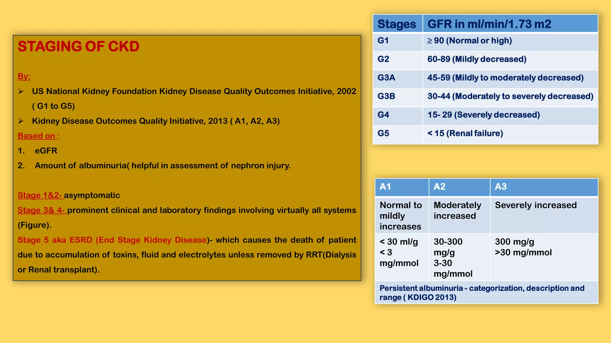 Chronic kidney disease | PDF