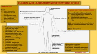 Chronic kidney disease | PDF