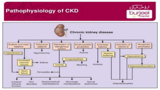 Chronic kidney disease | PPTX