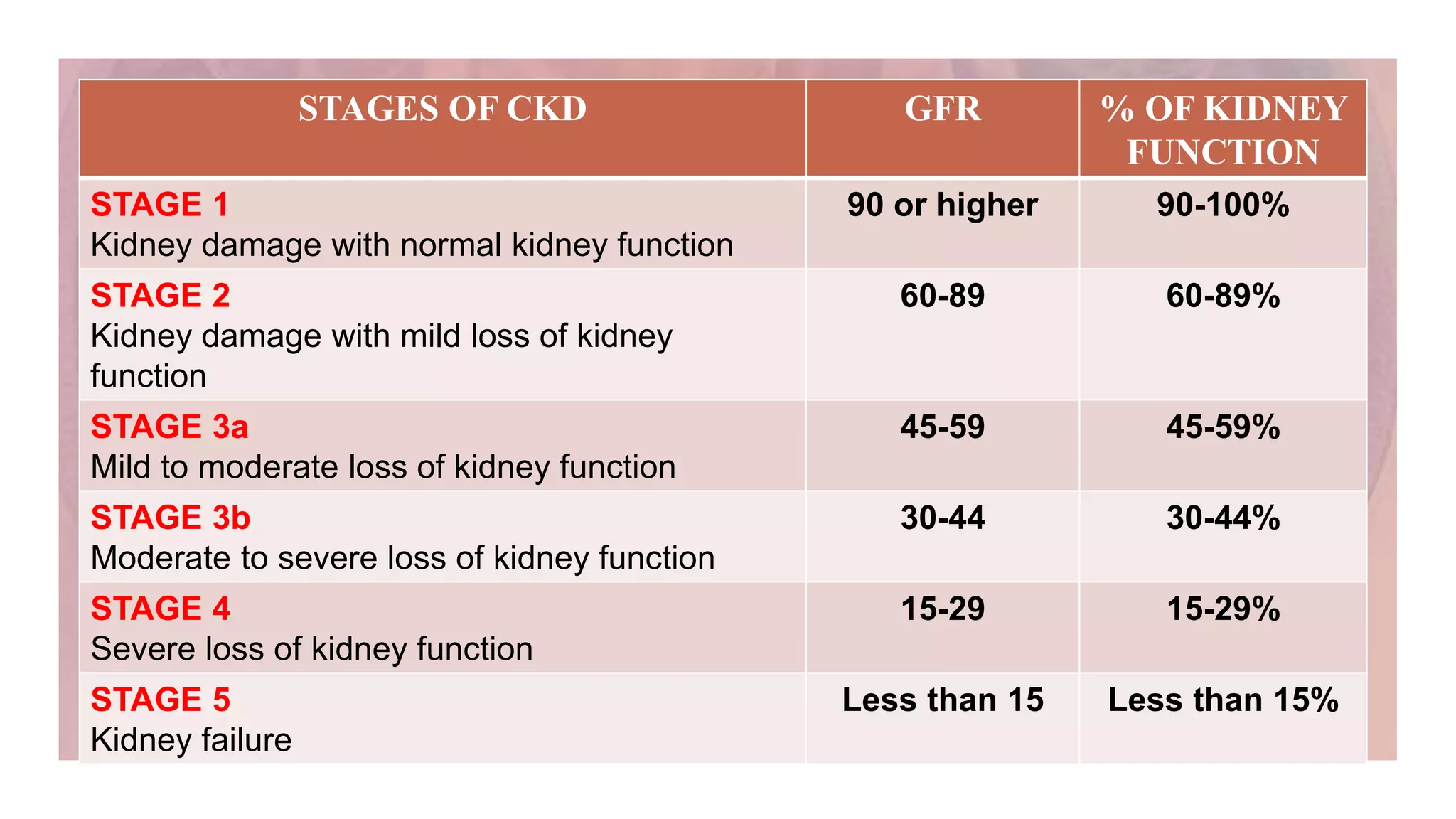 Chronic Kidney Disease (Case Study) | PPTX