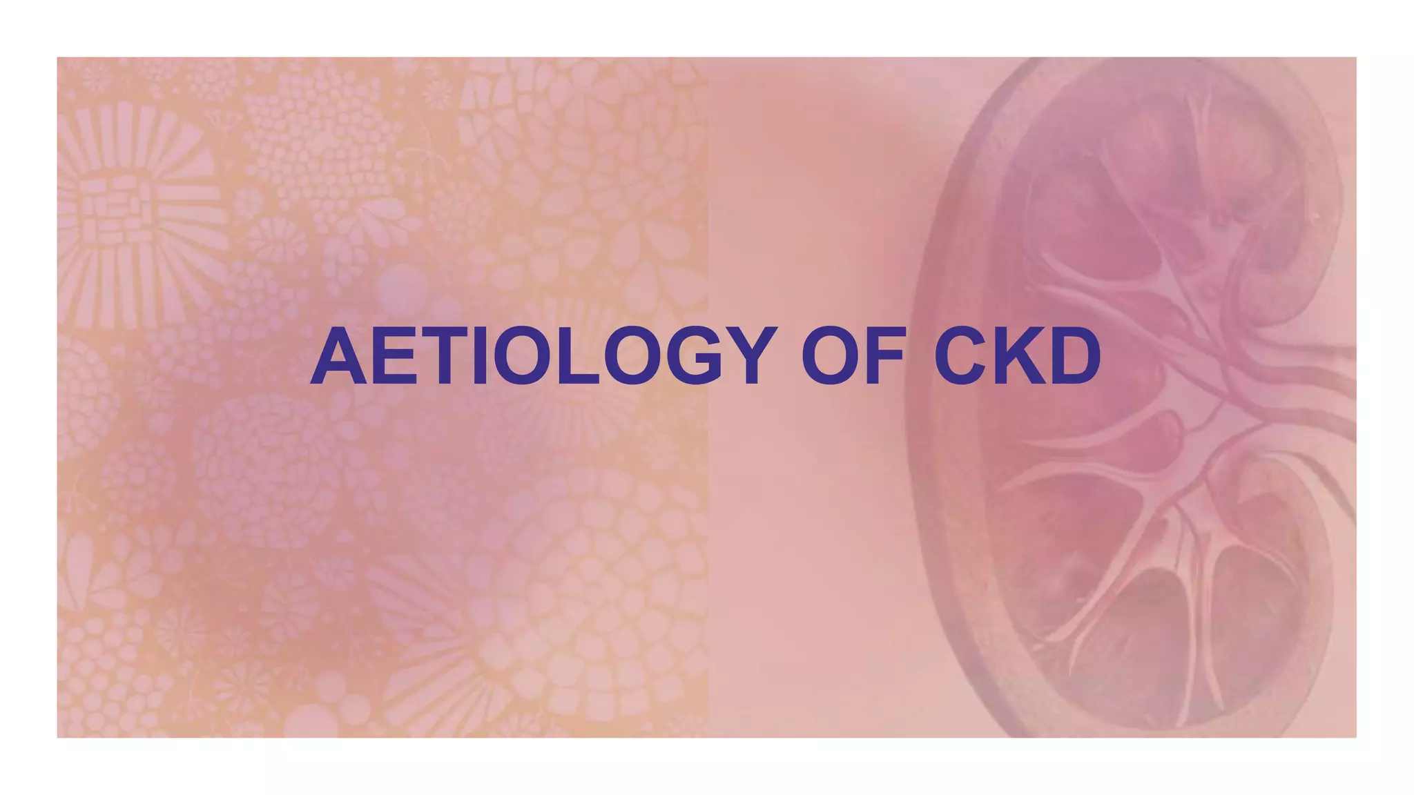 Chronic Kidney Disease (Case Study) | PPTX
