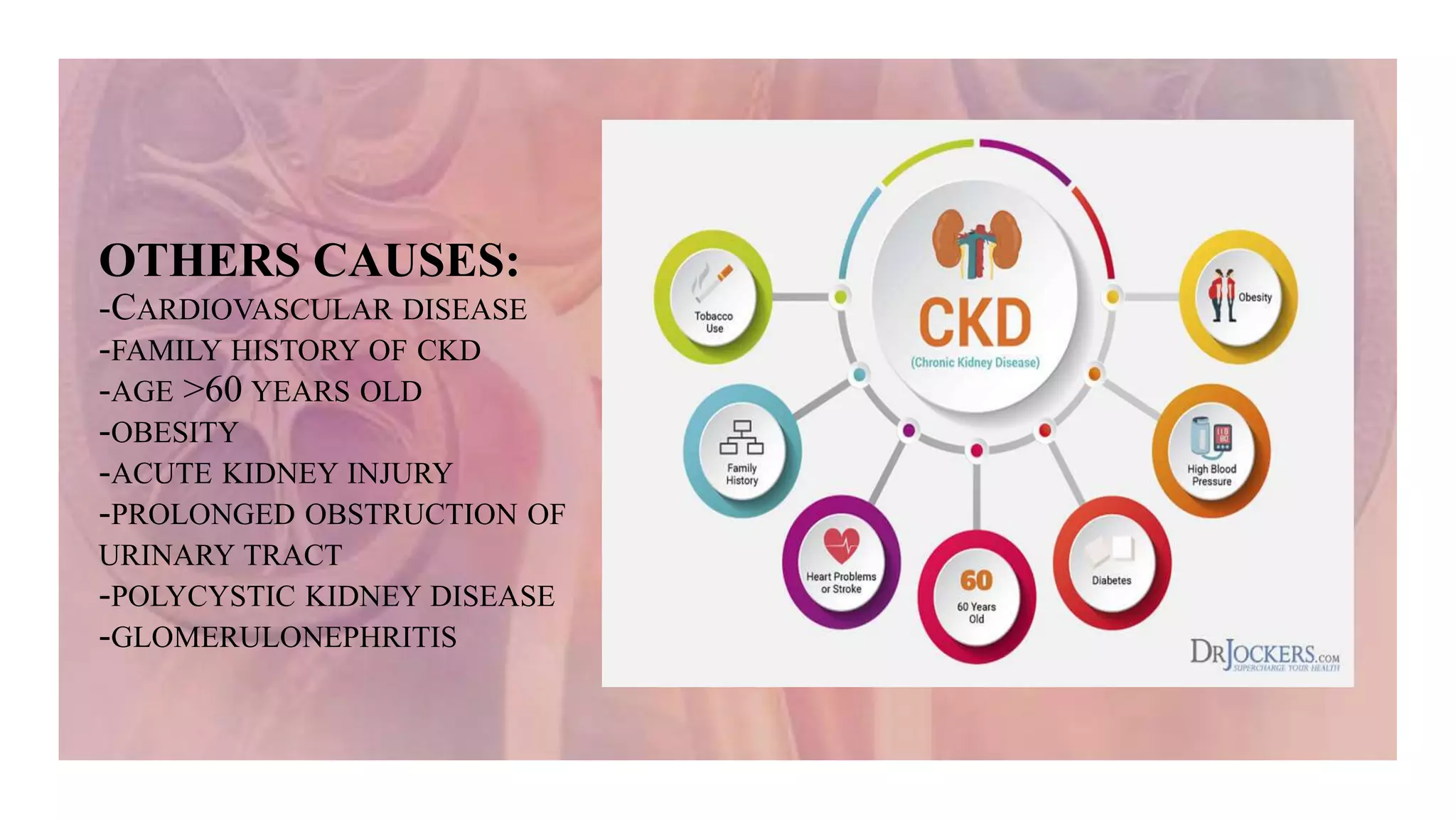 Chronic Kidney Disease (Case Study) | PPTX