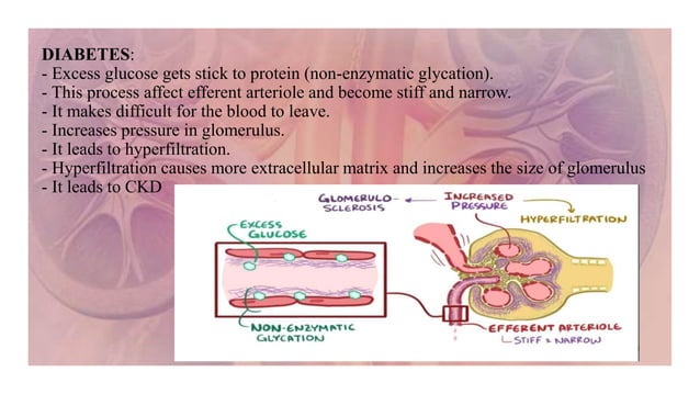 Chronic Kidney Disease (Case Study) | PPTX | Blood Disorders | Diseases ...