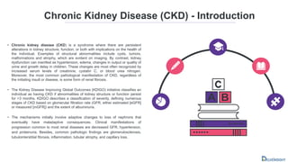 Chronic kidney disease | PPT