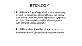 chronic kidney disease.pptx