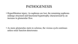 chronic kidney disease.pptx
