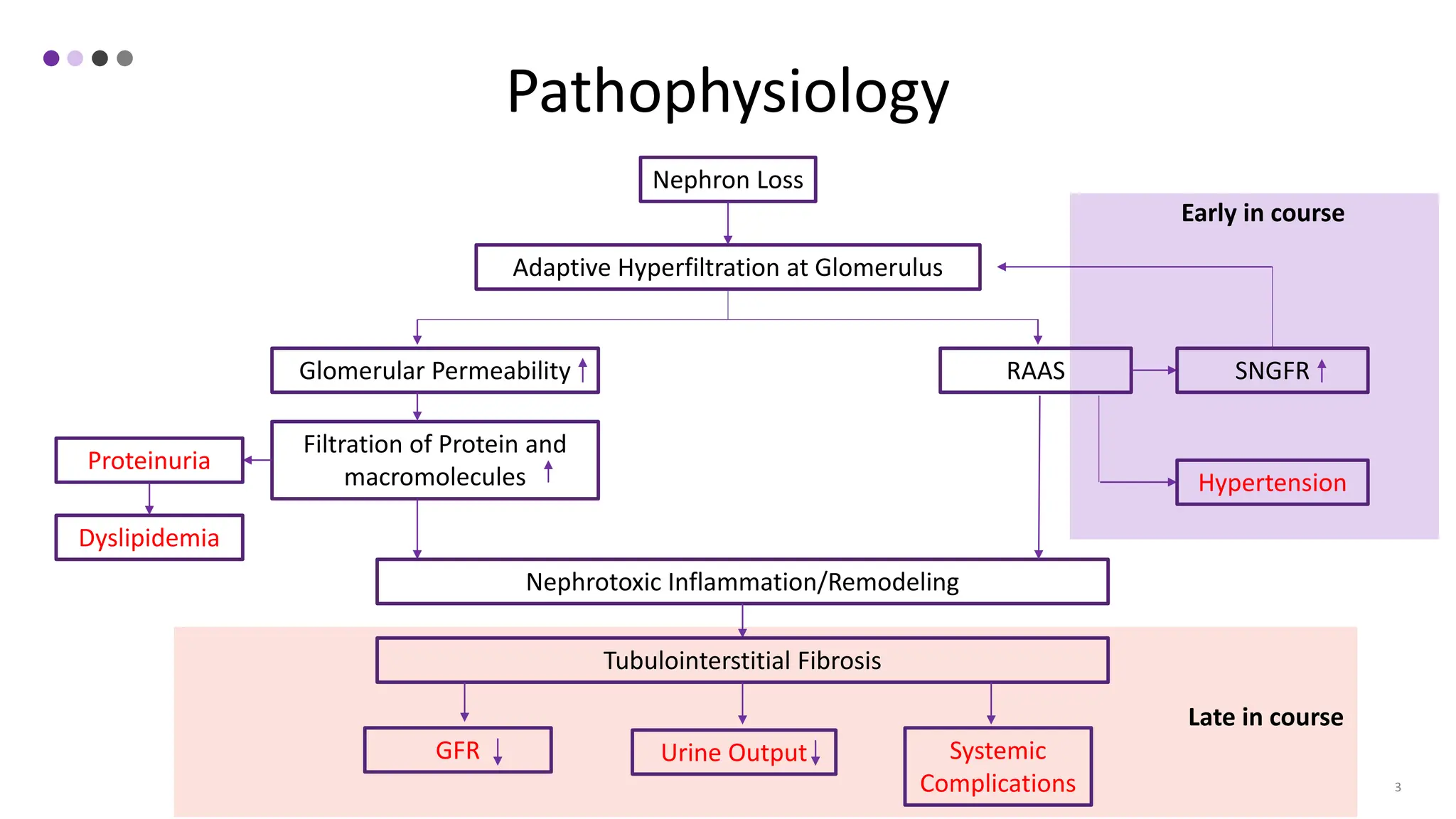 CHRONIC KIDNEY DISEASE CAUSES, PATHOPHYSIOLOGY, CLINICAL PRESENTATION ...