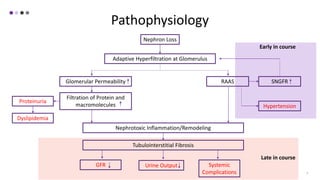 CHRONIC KIDNEY DISEASE CAUSES, PATHOPHYSIOLOGY, CLINICAL PRESENTATION ...