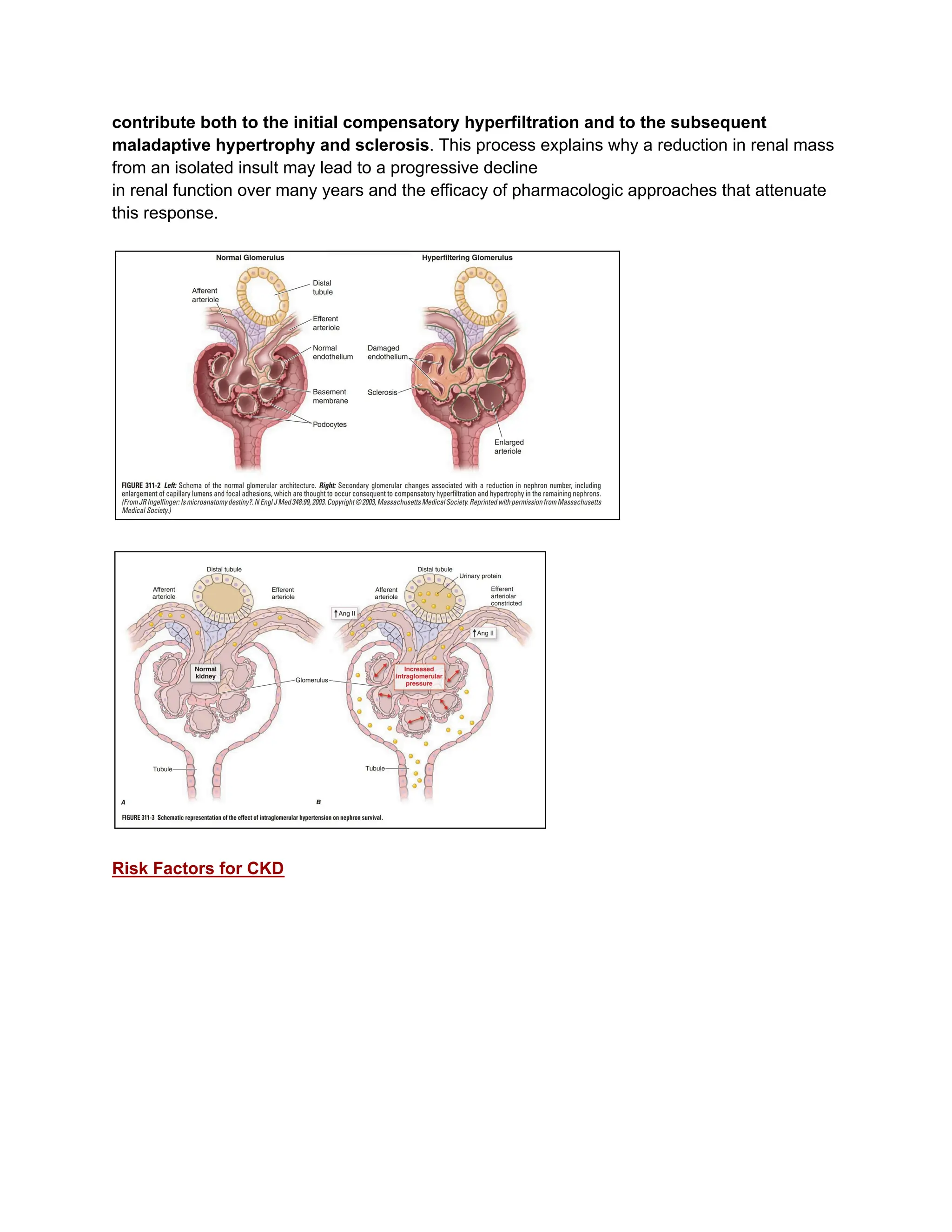 Chronic Kidney Disease - Definition , Risk Factors , Causes & Staging.pdf