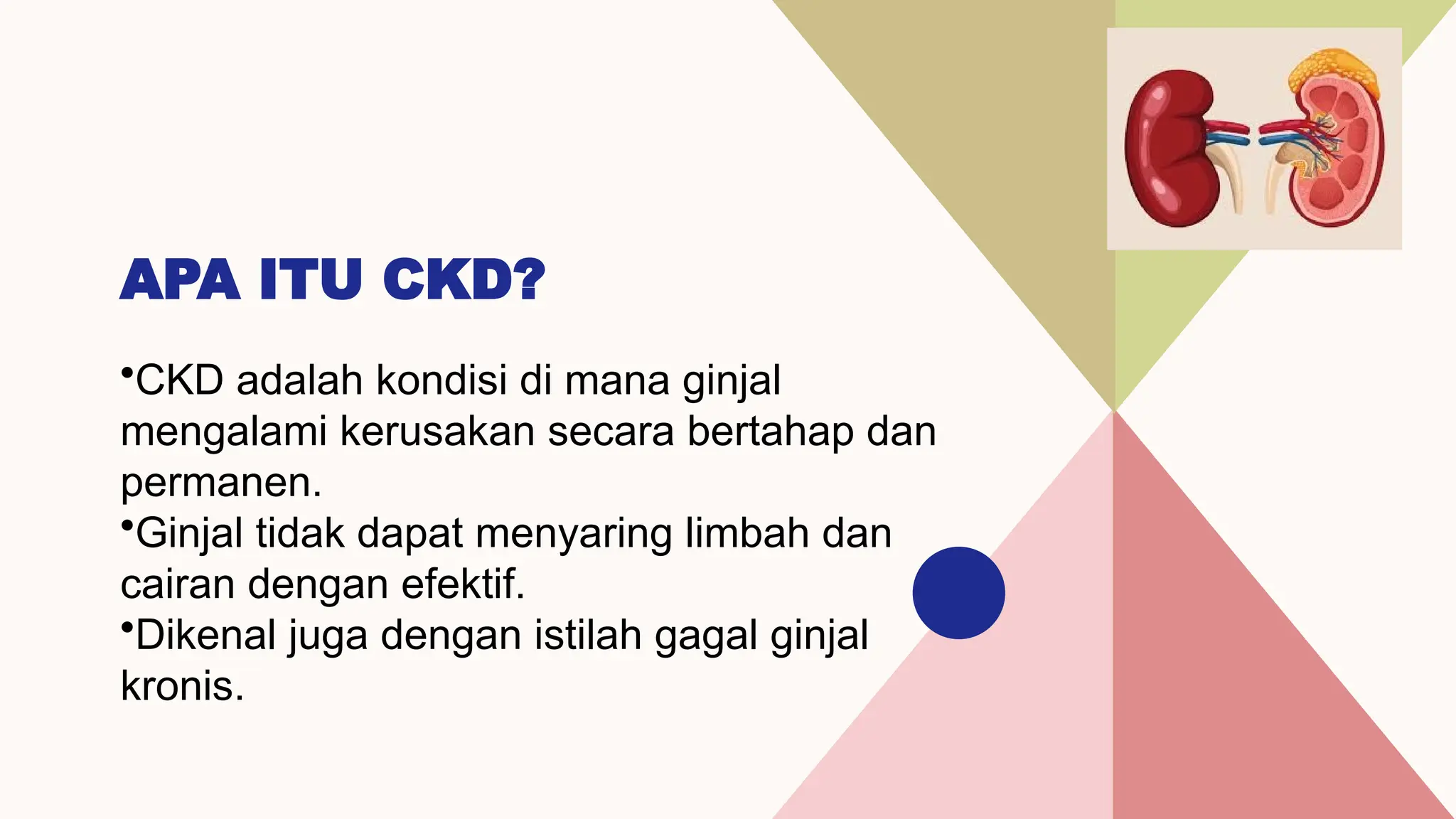 CHRONIC KIDNEY DISEASE and Treatment.pptx