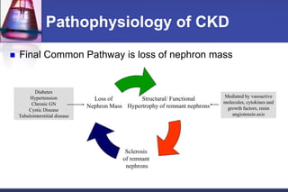 Chronic Kidney Disease pharmacotherapys | PDF