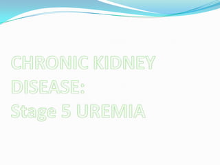 CKD: Uremia DAWFPIGZ | PPTX