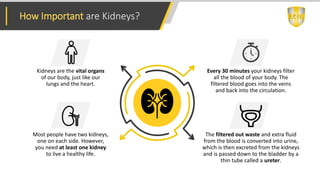Everything You Need to Know about Chronic Kidney Disease | PPTX