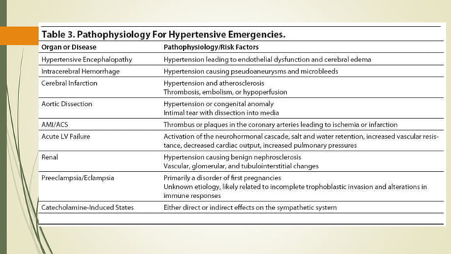 Chronic Kidney Disease diagnosis and treatment | PPT