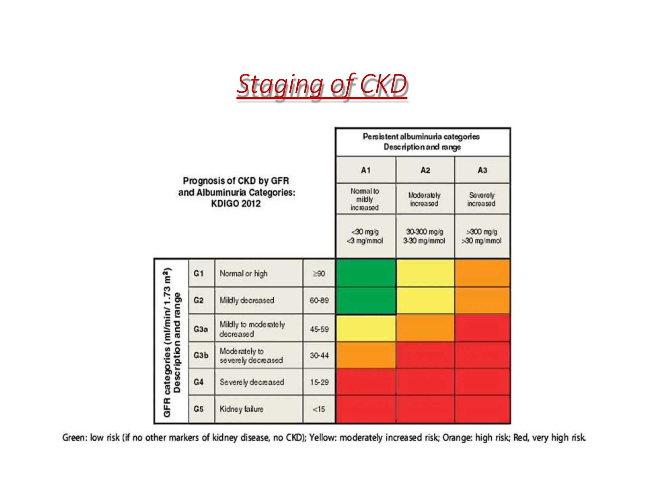 Chronic kidney disease 2.pptx