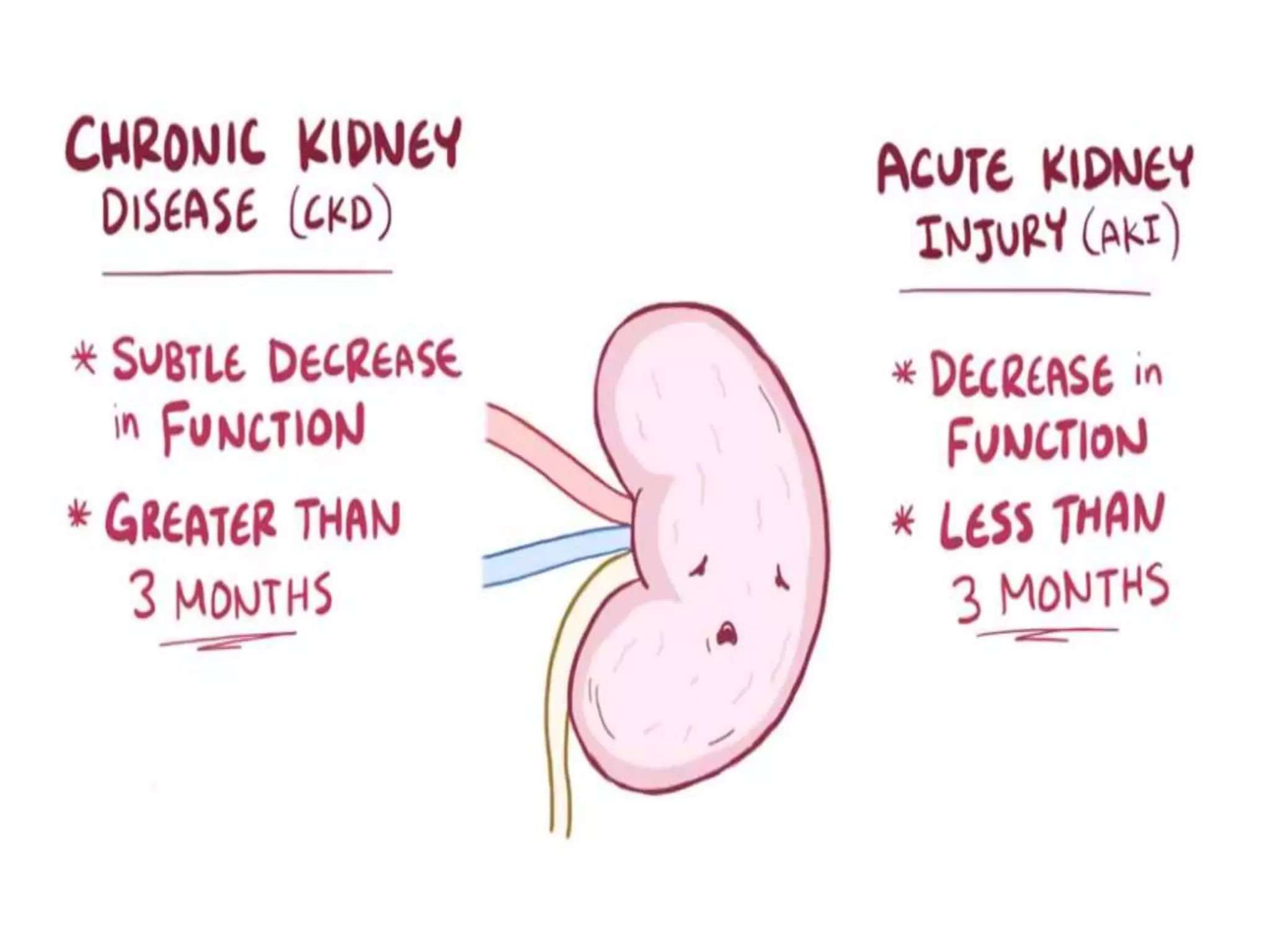 Chronic kidney disease and esrd(end stage renal disease | PPTX