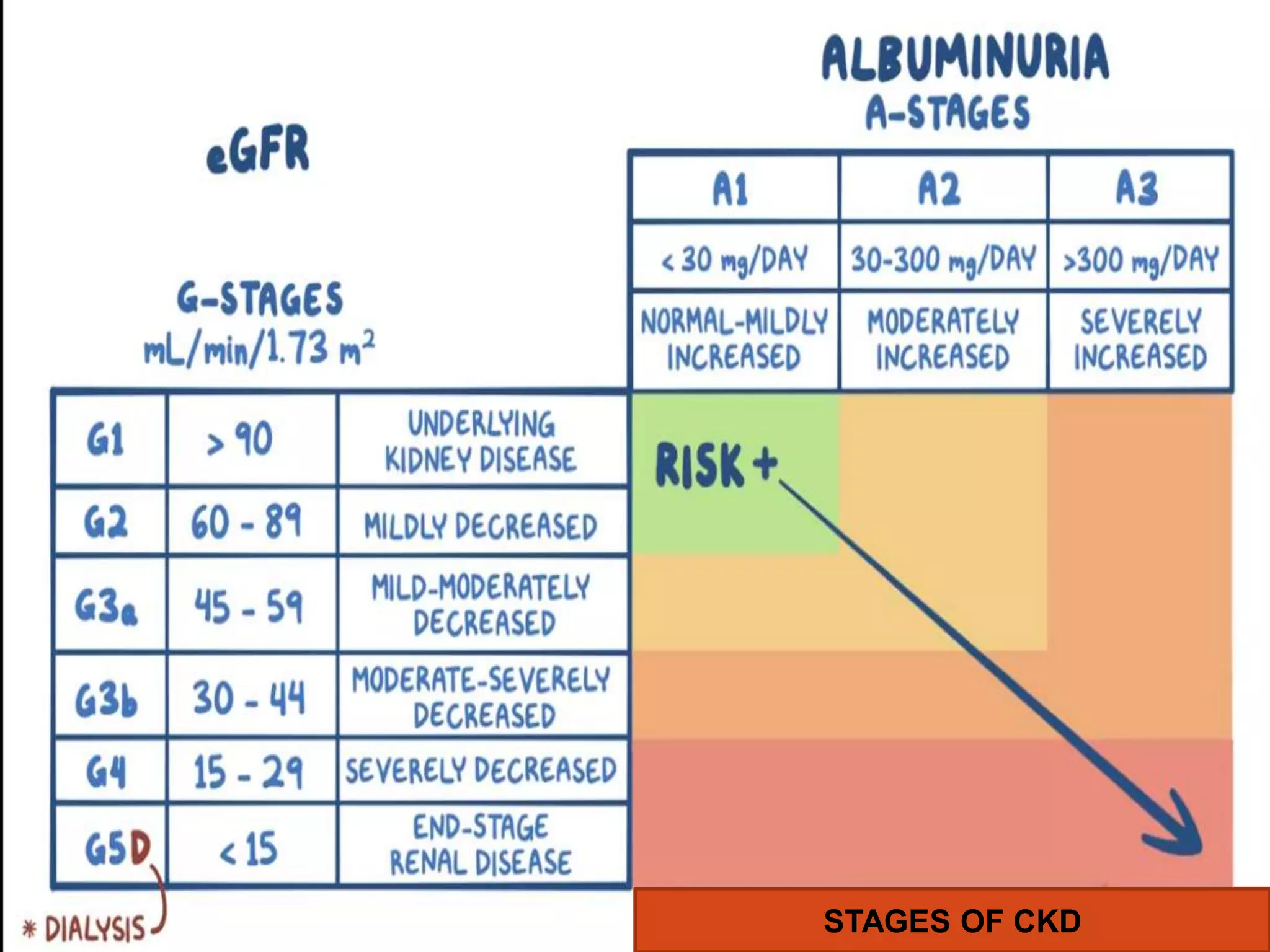 Chronic kidney disease and esrd(end stage renal disease | PPTX