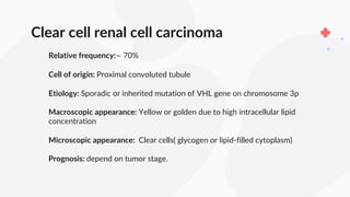 Chronic Kidney Disease Break through ppt | PDF