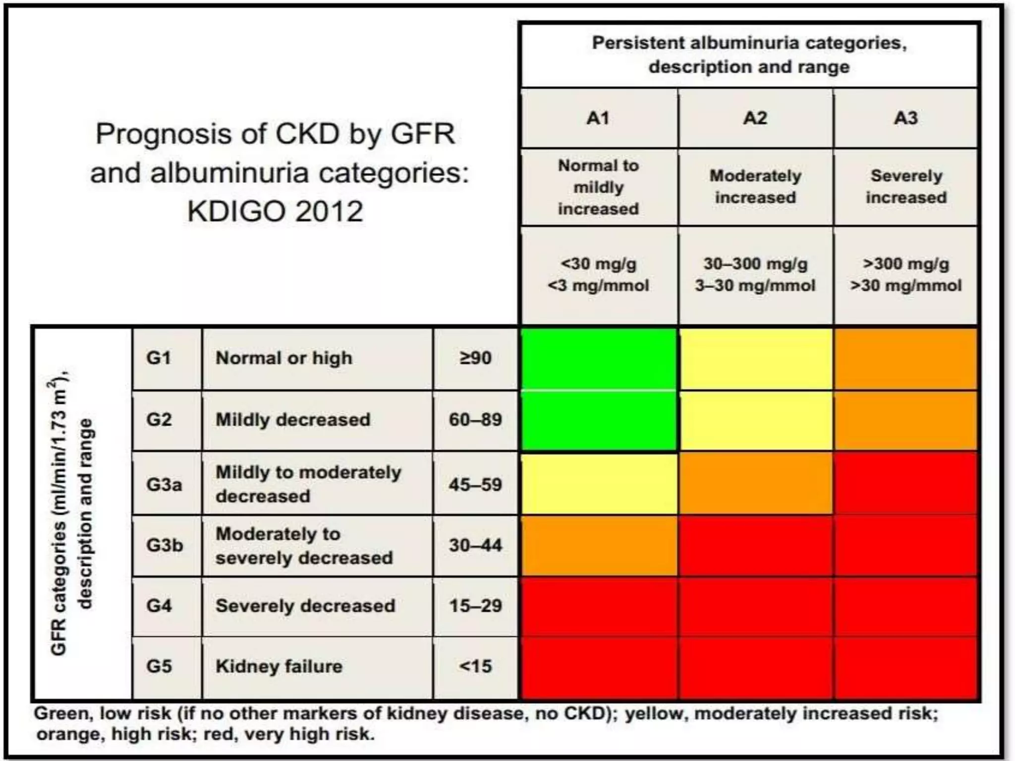 Chronic kidney disease(ckd) | PPTX