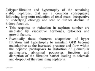 Chronic kidney disease(ckd) | PPTX
