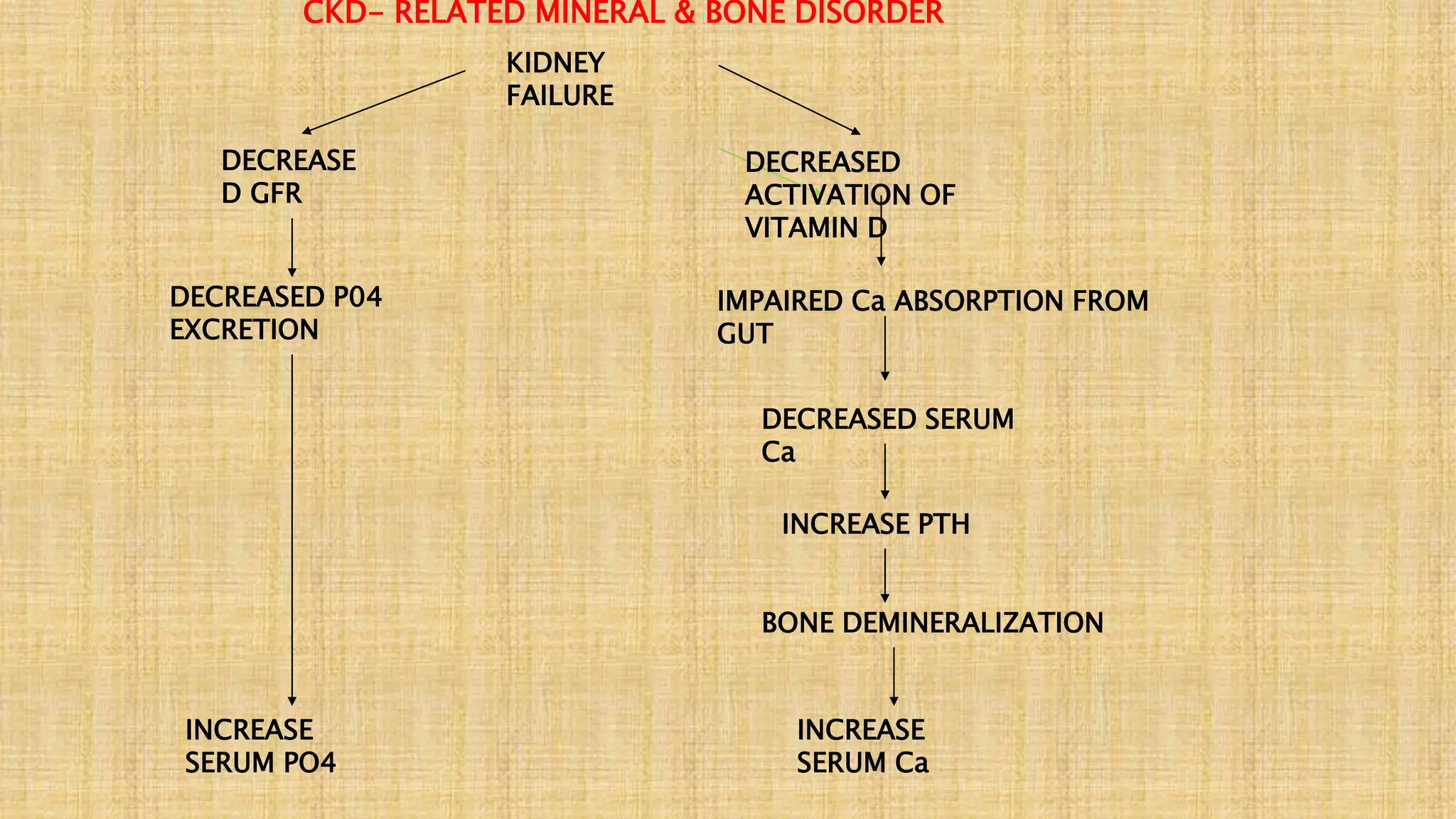 CHRONIC KIDNEY DISEASE (CKD) for medical students.pptx