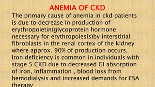 CHRONIC KIDNEY DISEASE (CKD) for medical students.pptx