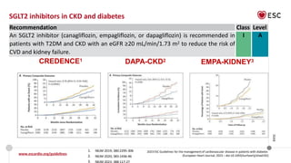 ESC Chronic kidney disease & Diabetes.pptx