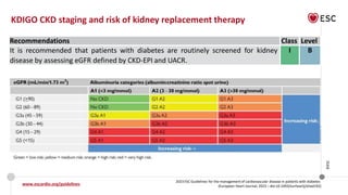 ESC Chronic kidney disease & Diabetes.pptx