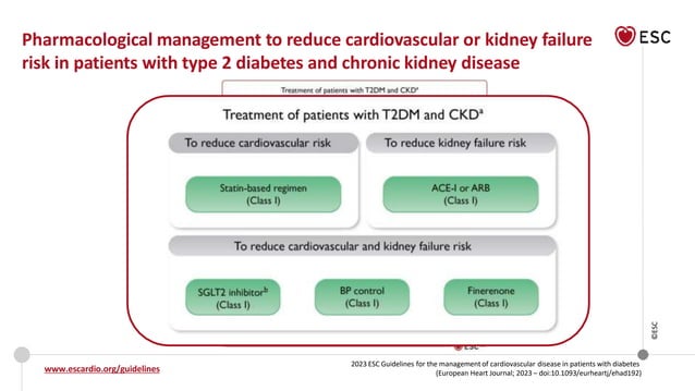 ESC Chronic kidney disease & Diabetes.pptx