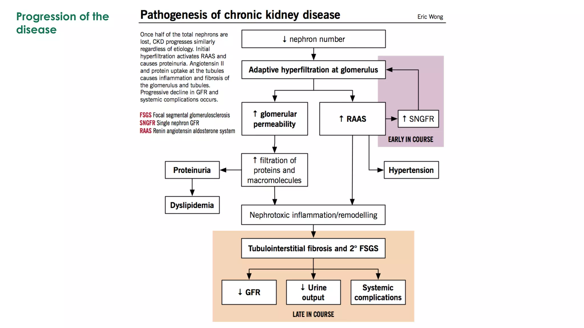 CHRONIC KIDNEY DISEASE & END STAGE RENAL FAILURE | PDF