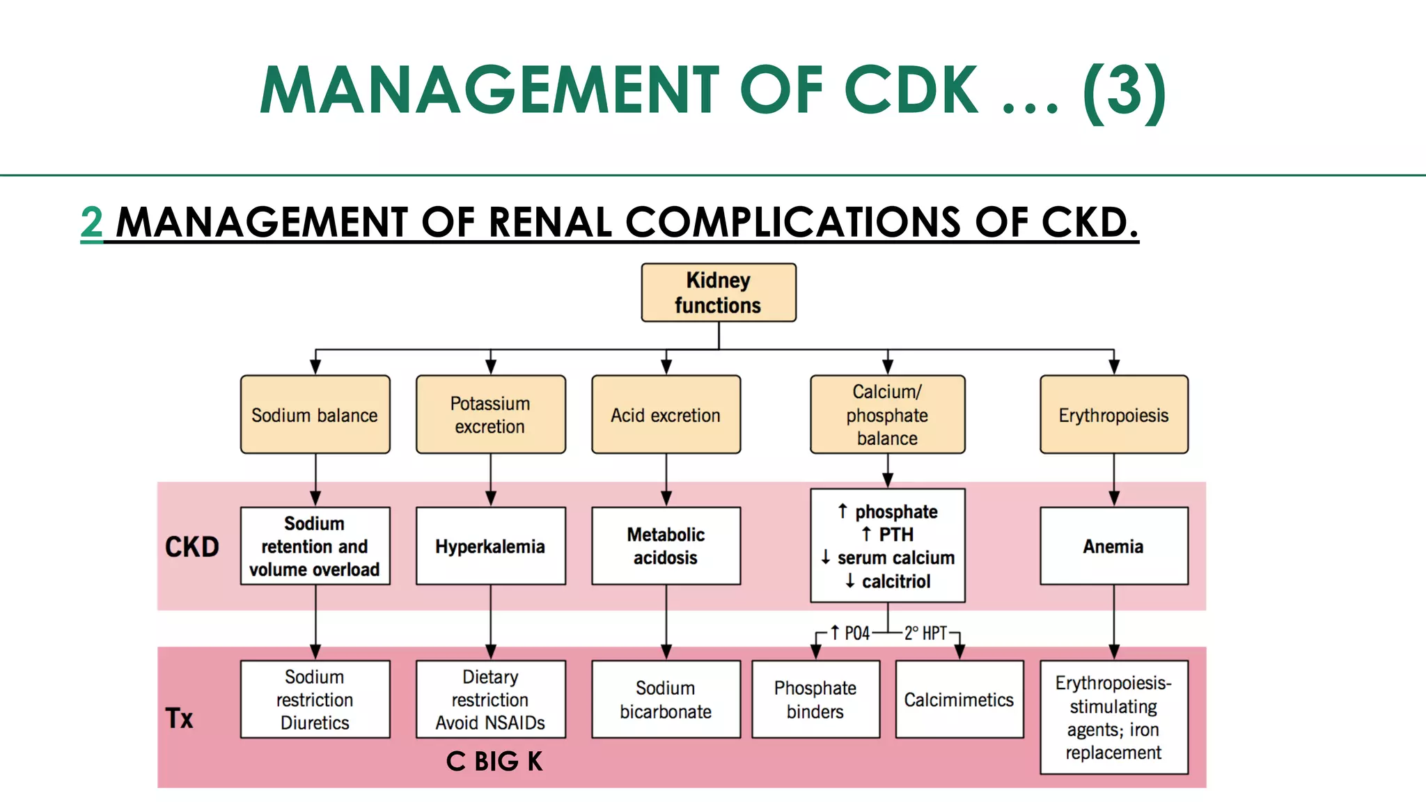 CHRONIC KIDNEY DISEASE & END STAGE RENAL FAILURE | PDF
