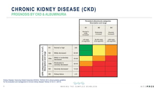 Chronic kidney disease how a deeper understanding of the disease is ...