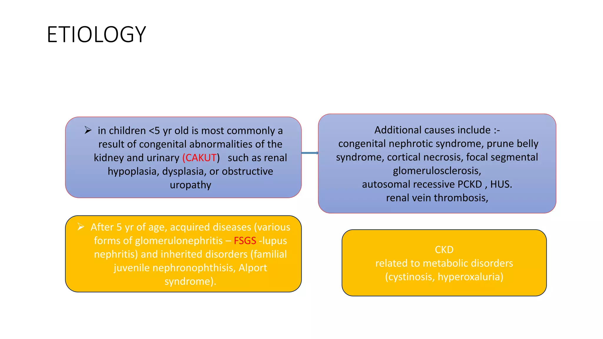 Chronic kidney disease in children | PPTX