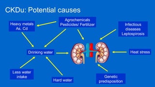 Chronic kidney disease of unknown aetiology (CKDu) in Sri Lanka: A ...