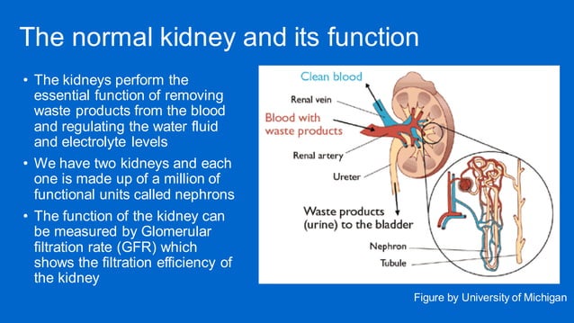 Chronic kidney disease of unknown aetiology (CKDu) in Sri Lanka: A ...