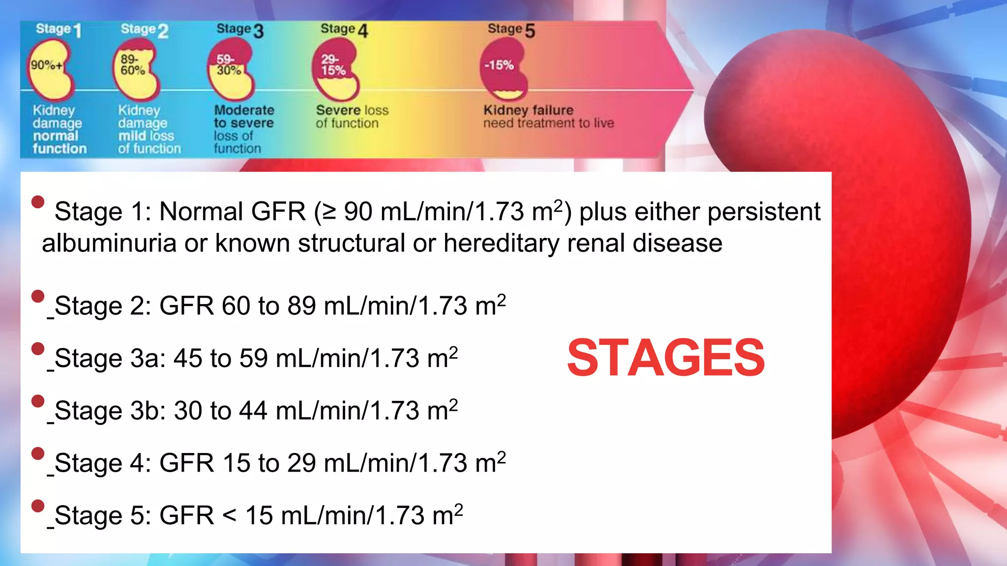 Chronic Kidney Disease | PPTX