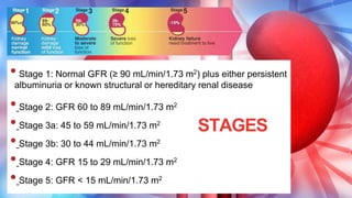Chronic Kidney Disease | PPTX | Diseases and Conditions | Medical Health